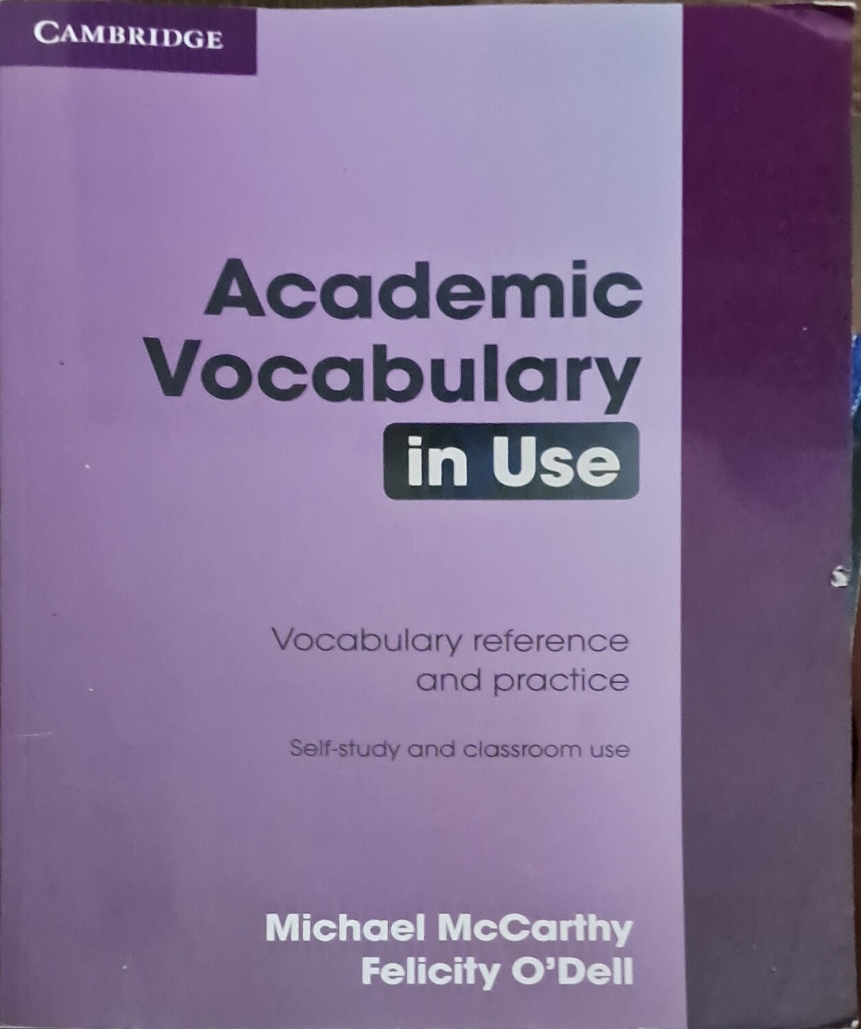 Academic vocabulary in use
