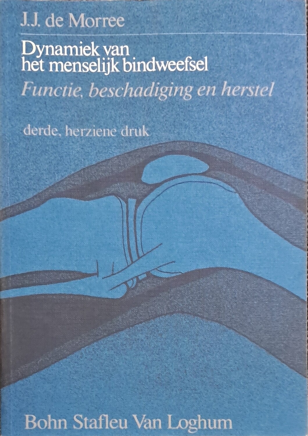 Dynamiek van het menselijk bindweefsel