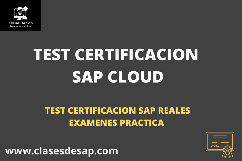 Cursos Sap usuario , Consultor Sap , Test Certificaciones Sap online