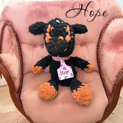 Steinmetz Family Farm