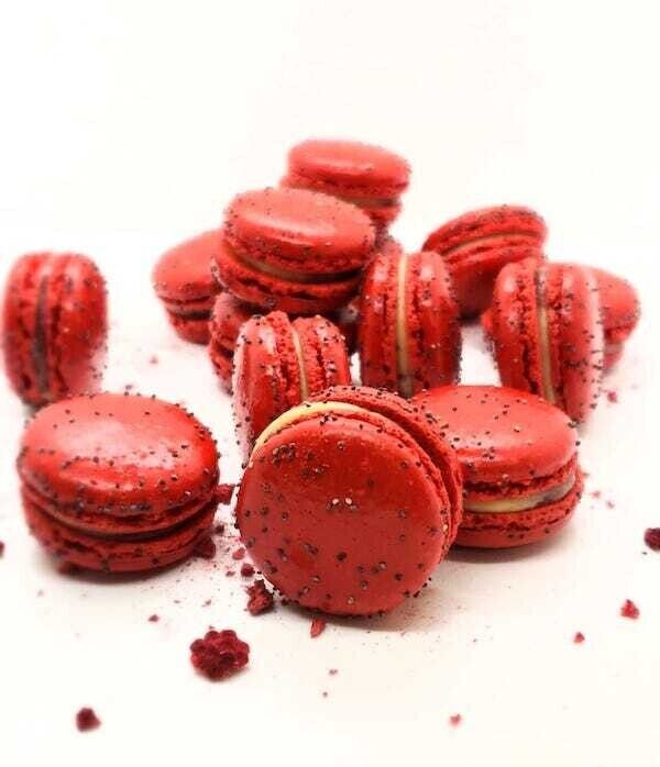 Délice Macarons