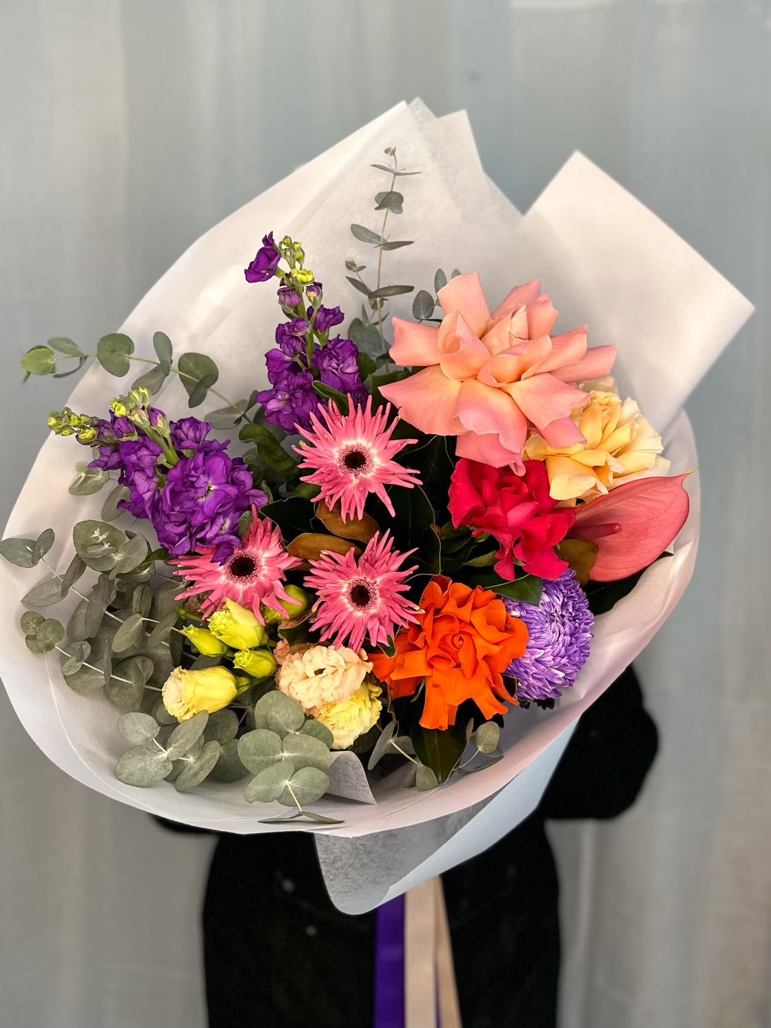 Merchant Girls Choice Bright