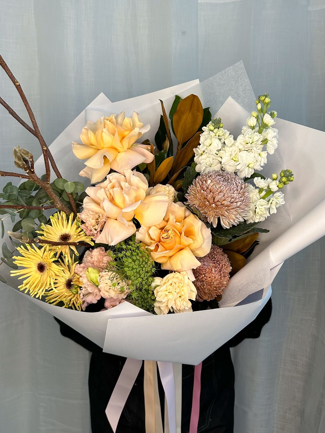 Merchant Girls Choice Soft