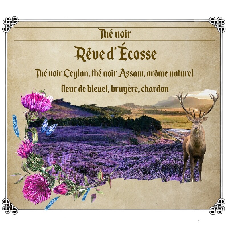 Les potions de Merlin