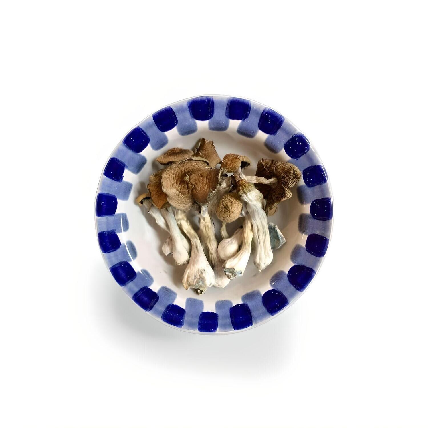 Blue Meanie Magic Mushrooms | Buy Blue Meanie Mushroom Canada