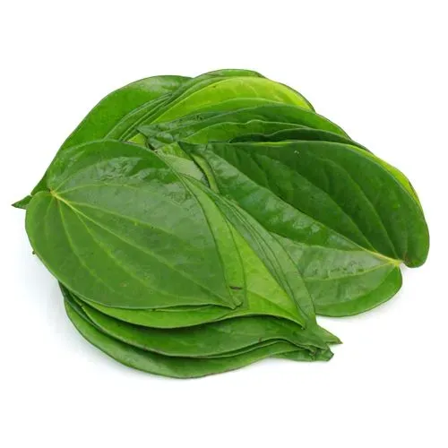Fresh Pan Leaves
