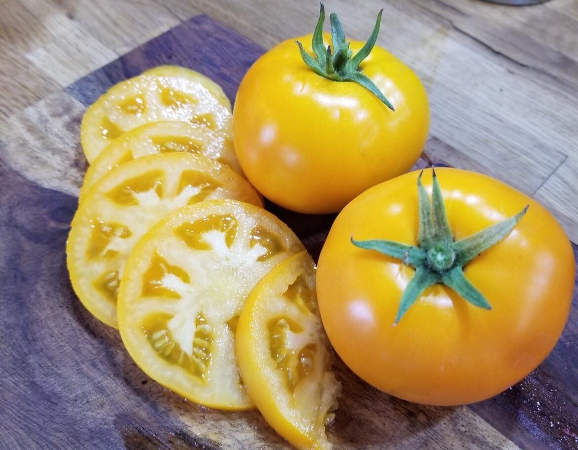 Tomate orange (Beorange)