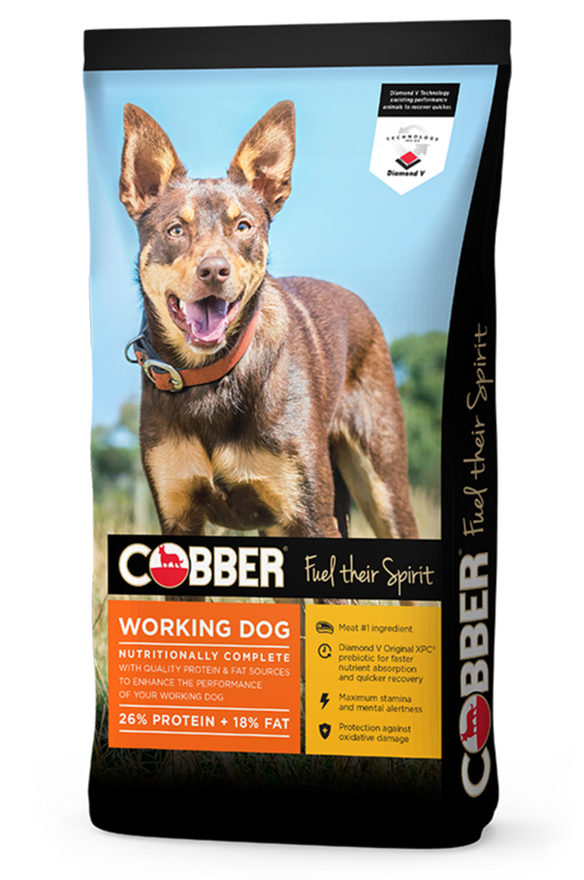 Cobber Working Dog 20kg
