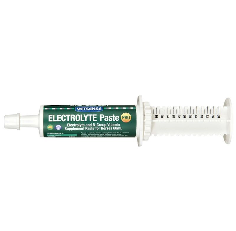 Electrolyte Paste Pro 60ml