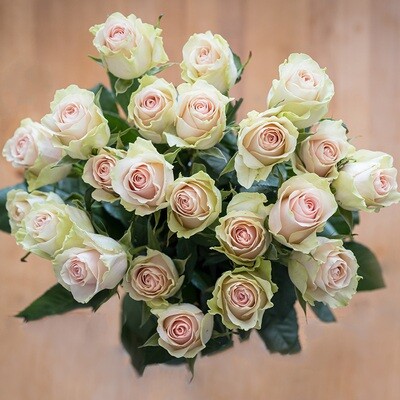 Blooming Fresh Flowers