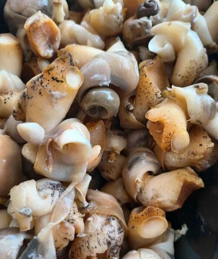 Whelks