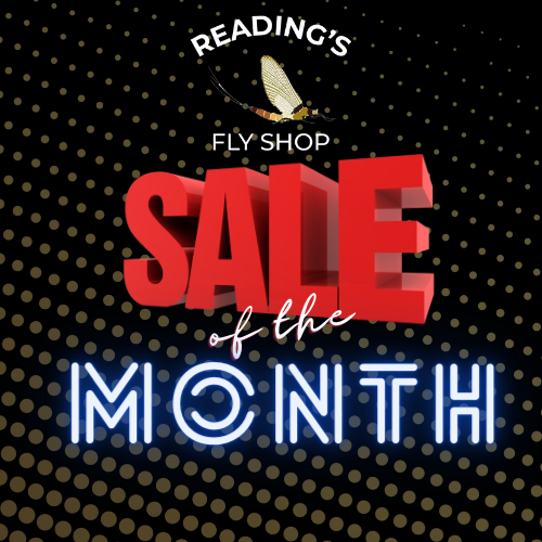 SALE of the MONTH