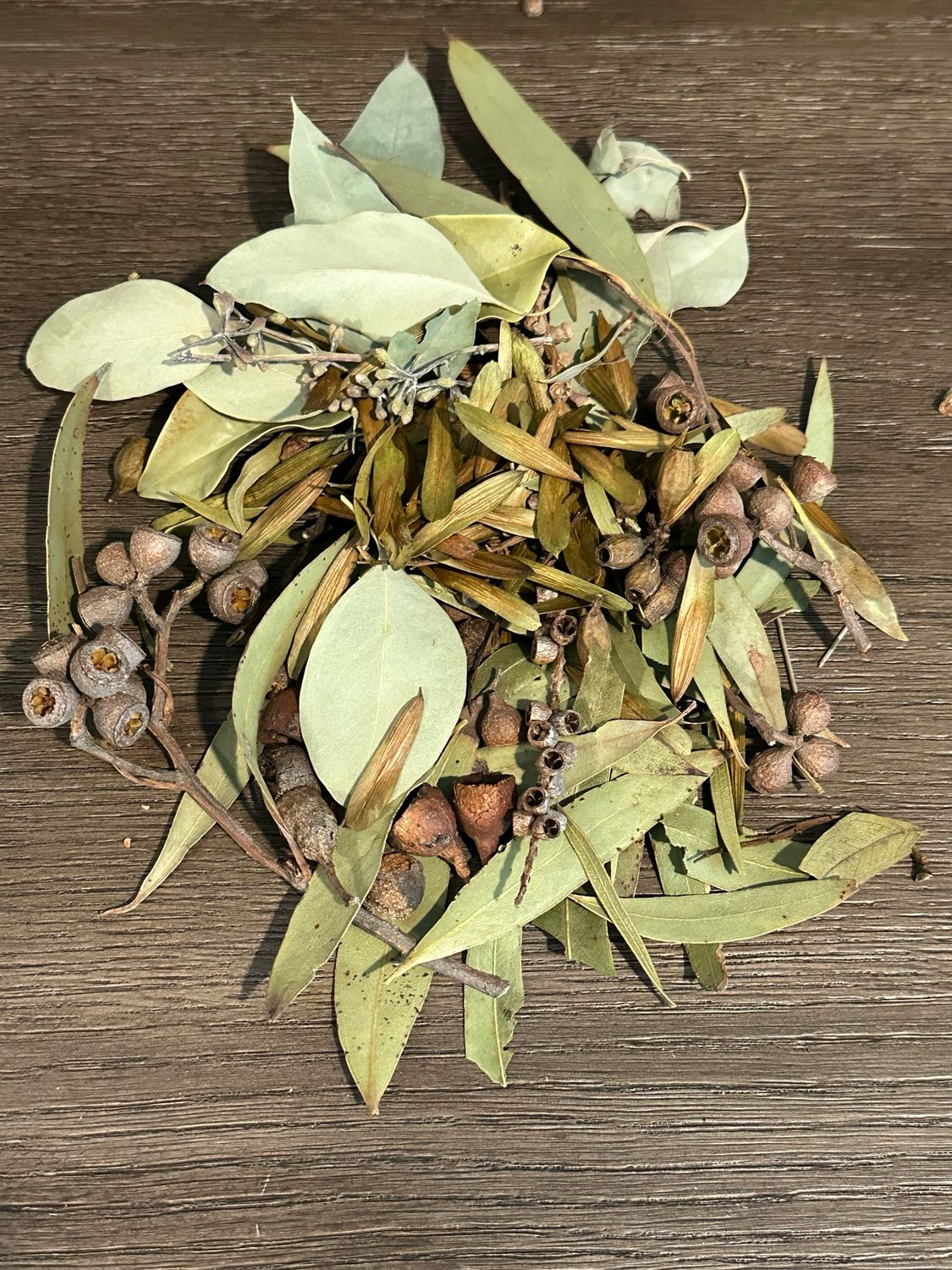 Biodiversity Go Wild Down Under! Australian Foraging Blend