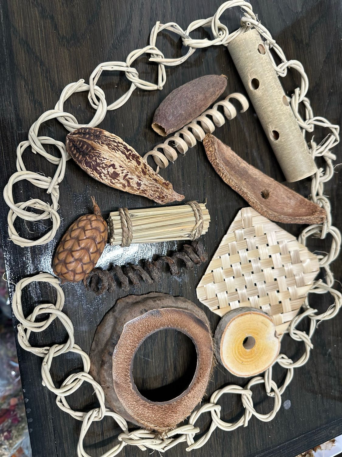 ENRICHMENT: TOYS, SKEWERS, FORAGING DEVICES