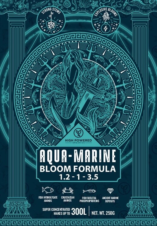Aqua Marine Bloom