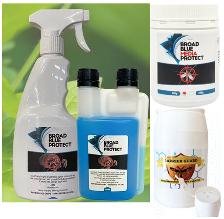 Broad Blue & Barrier Guard