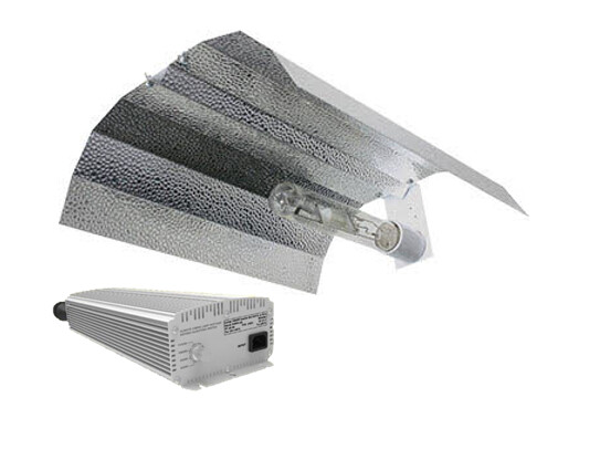 Powerplant 1000w Economy Lighting Kit