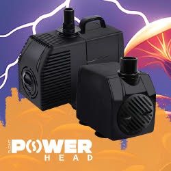 Powerhead Pumps