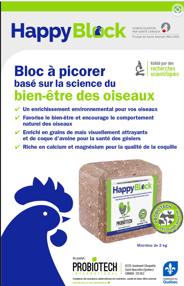 HAPPY BLOCK BLOC DE 2KG