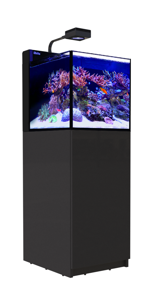 Red Sea Desktop Peninsula with cabinet