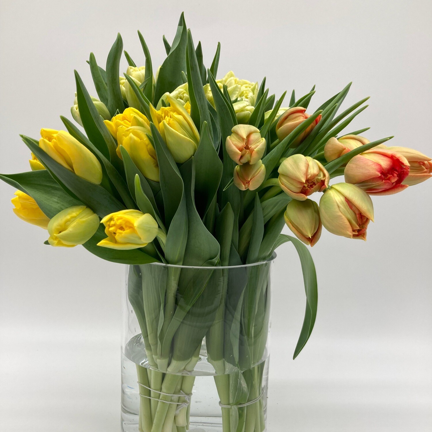 Double Tulip Bunch of 10