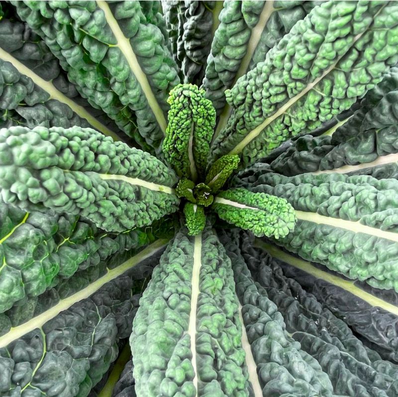Leafy Greens