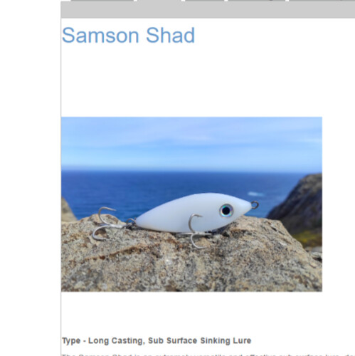 SAMSON SHAD