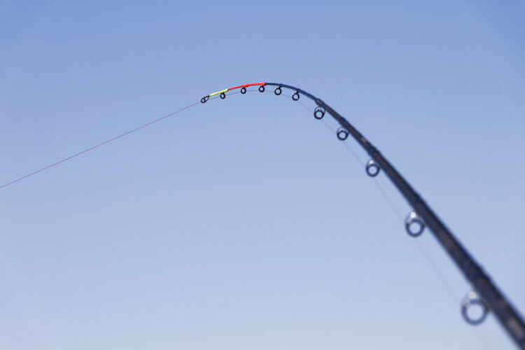 Boat Fishing Match Rods