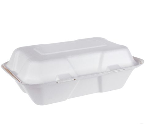 B&G 9x6 Clamshell Sugarcane Container 250pcs