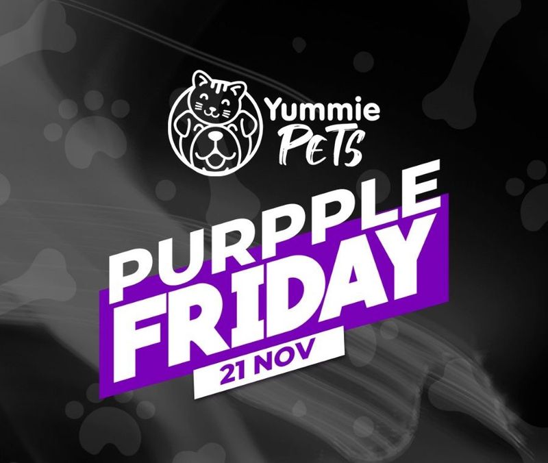 PURPPLE FRIDAY - 21 NOV