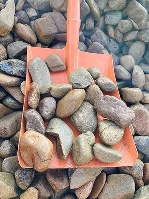 Buy 20mm round river pebbles | Loose tip