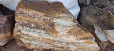 Store - Willett Creek Agate Co.