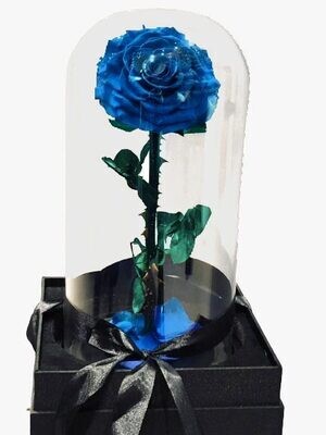 Rose Petals | Flower Shop in Dubai | Online Flower Shop