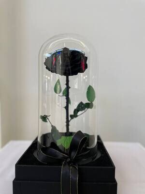 Rose Petals | Flower Shop in Dubai | Online Flower Shop