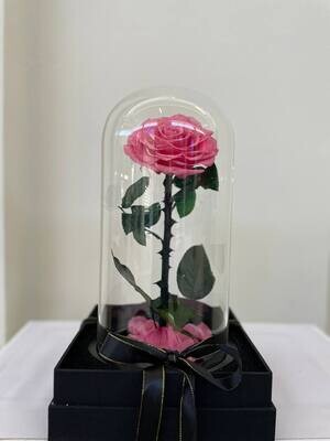 Rose Petals | Flower Shop in Dubai | Online Flower Shop