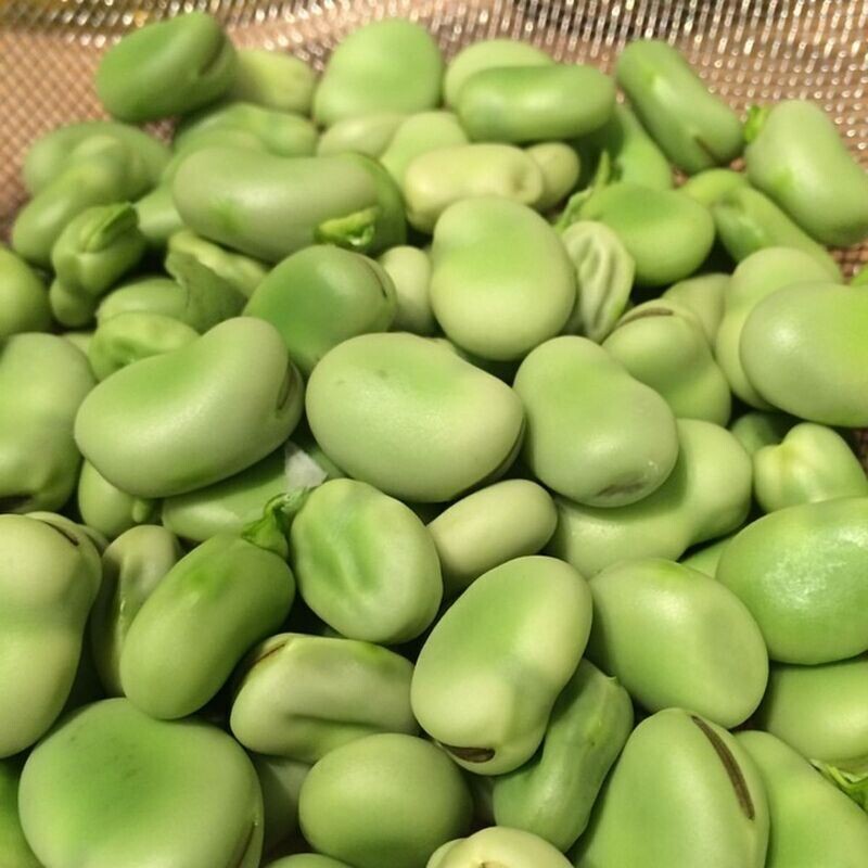 Bean Seeds - Perth, Western Australia