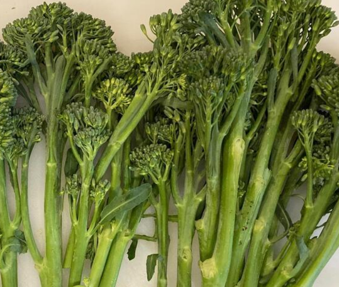 Buy Western Australian Seeds Online - Thrive Sustainability