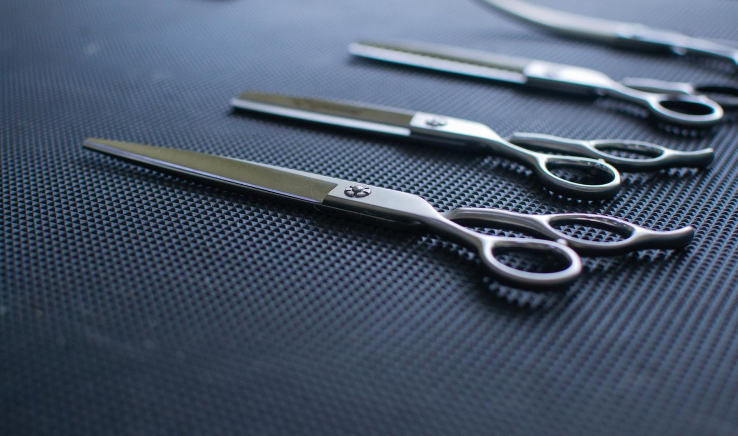 Shear Sharpening Service with FREE Shipping – Store – Sharp Ass Blades