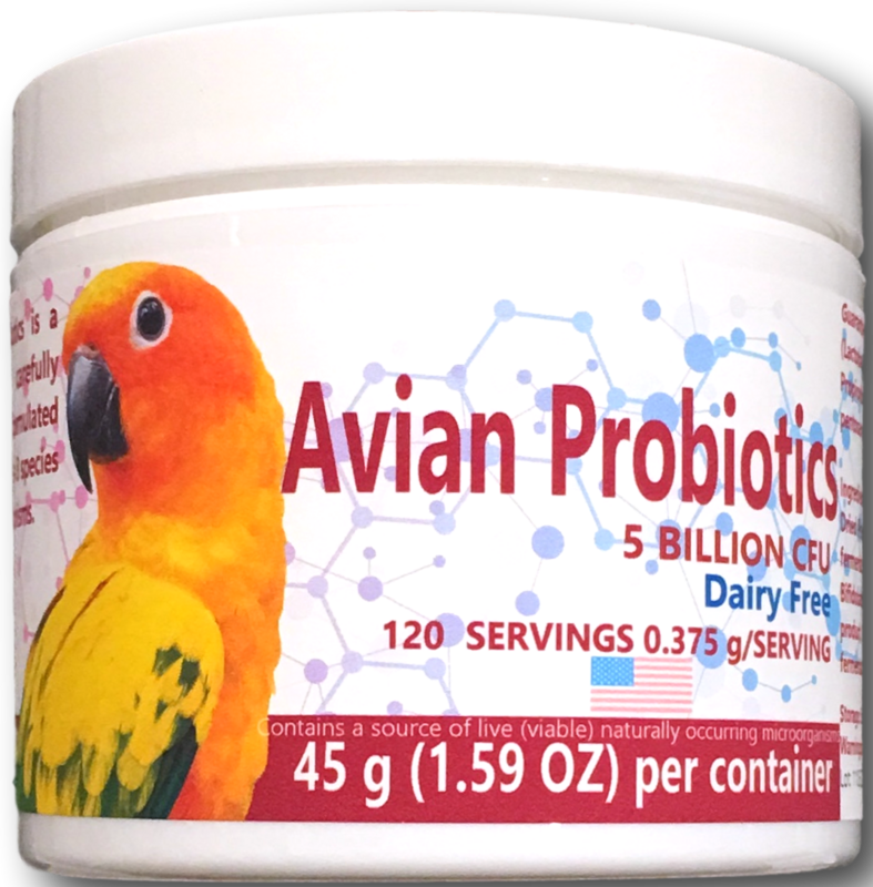 Equa Holistic Co. | Probiotics