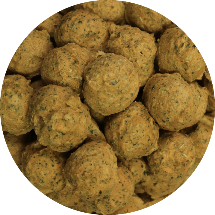 Big Foot Foodie Nuggets | Freeze Dried | myParrotopia, LLC