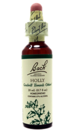 Bach Flower Remedies | Holly