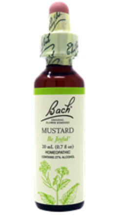 Bach Flower Remedies | Mustard