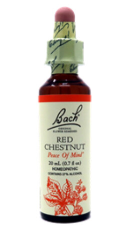 Bach Flower Remedies | Red Chestnut