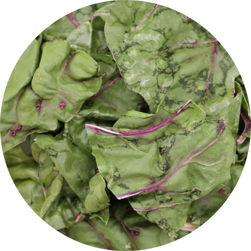 Big Foot Foodie | Red Swiss Chard | Freeze Dried