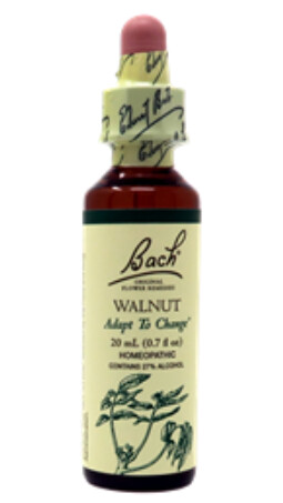Bach Flower Remedies | Walnut