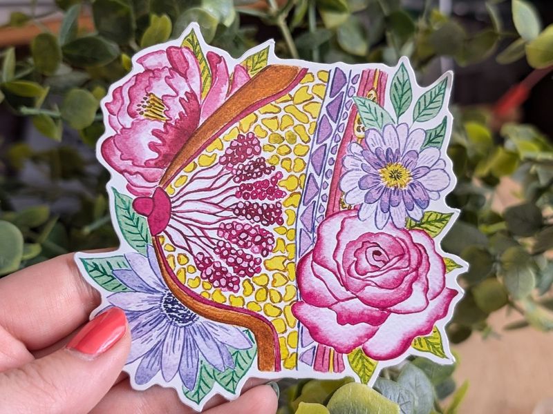 Breast Anatomy Art 10cm Sticker
