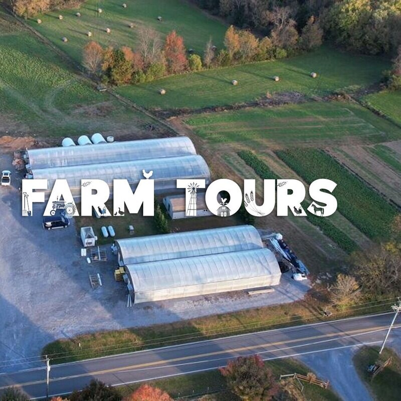 Tennessee Produce, Grass-Fed Beef, and Chicken Hatchery