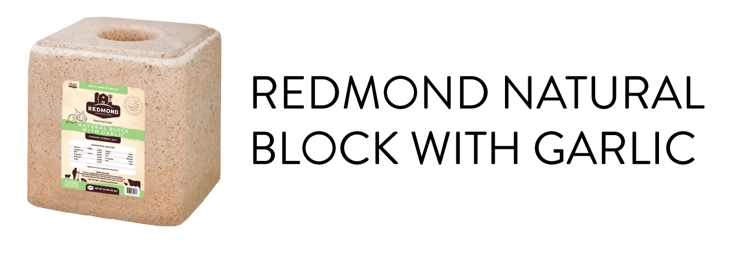 Redmond Salt Block w/ garlic 44 lb