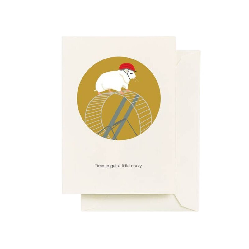 HAMSTER BIRTHDAY CARD HAMSTER BIRTHDAY CARD