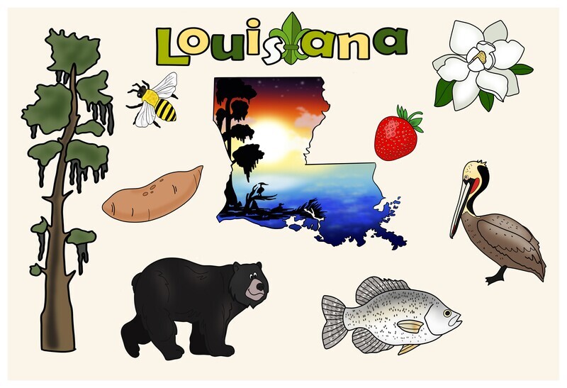 LOUISIANA STATE SYMBOLS CHART